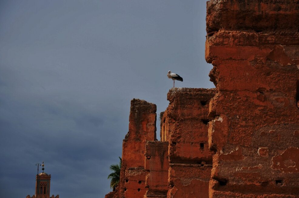 Que monumentos ver en Marrakech - Rutas por Marruecos Alí